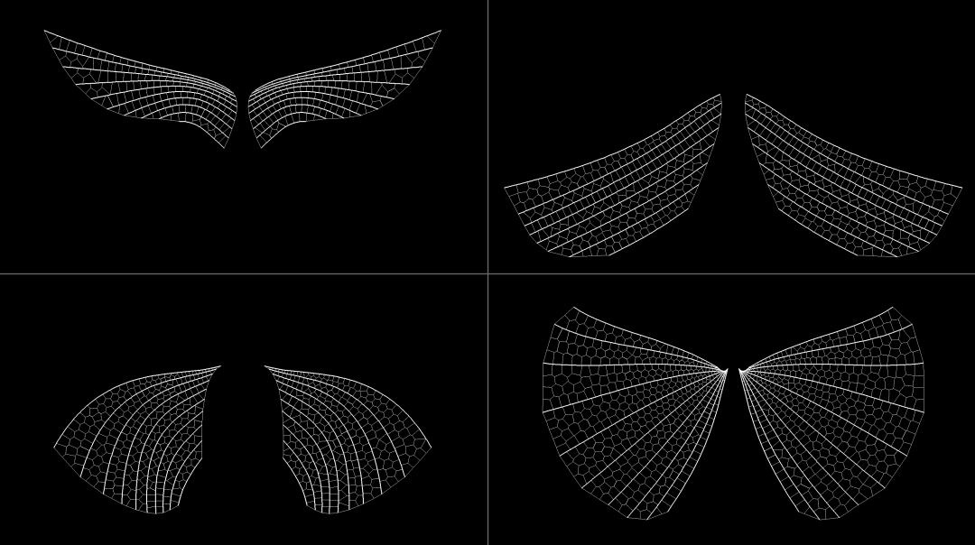 Insect Wings Editor · Niel McLaren